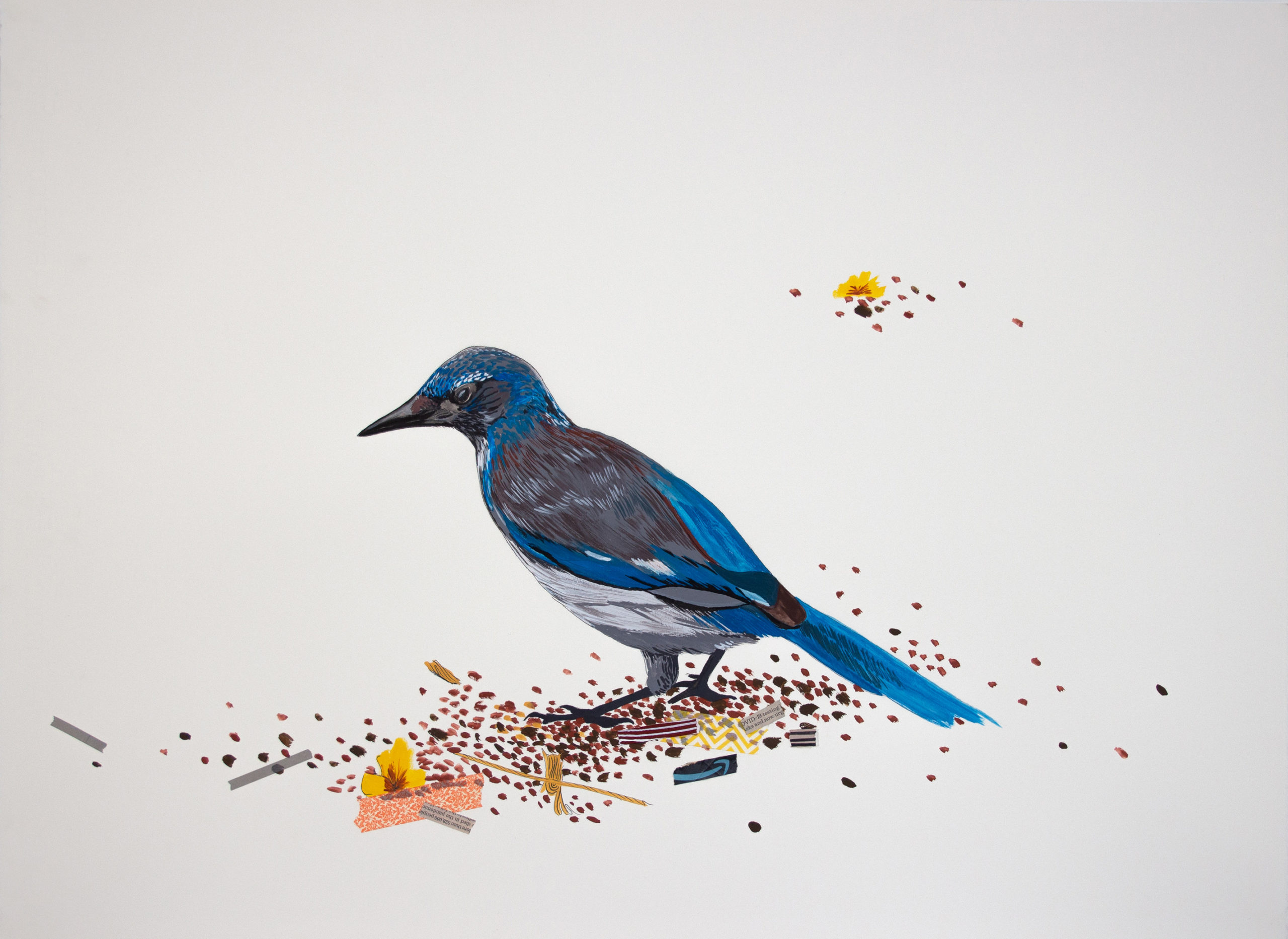 Gallery – Andre Yi