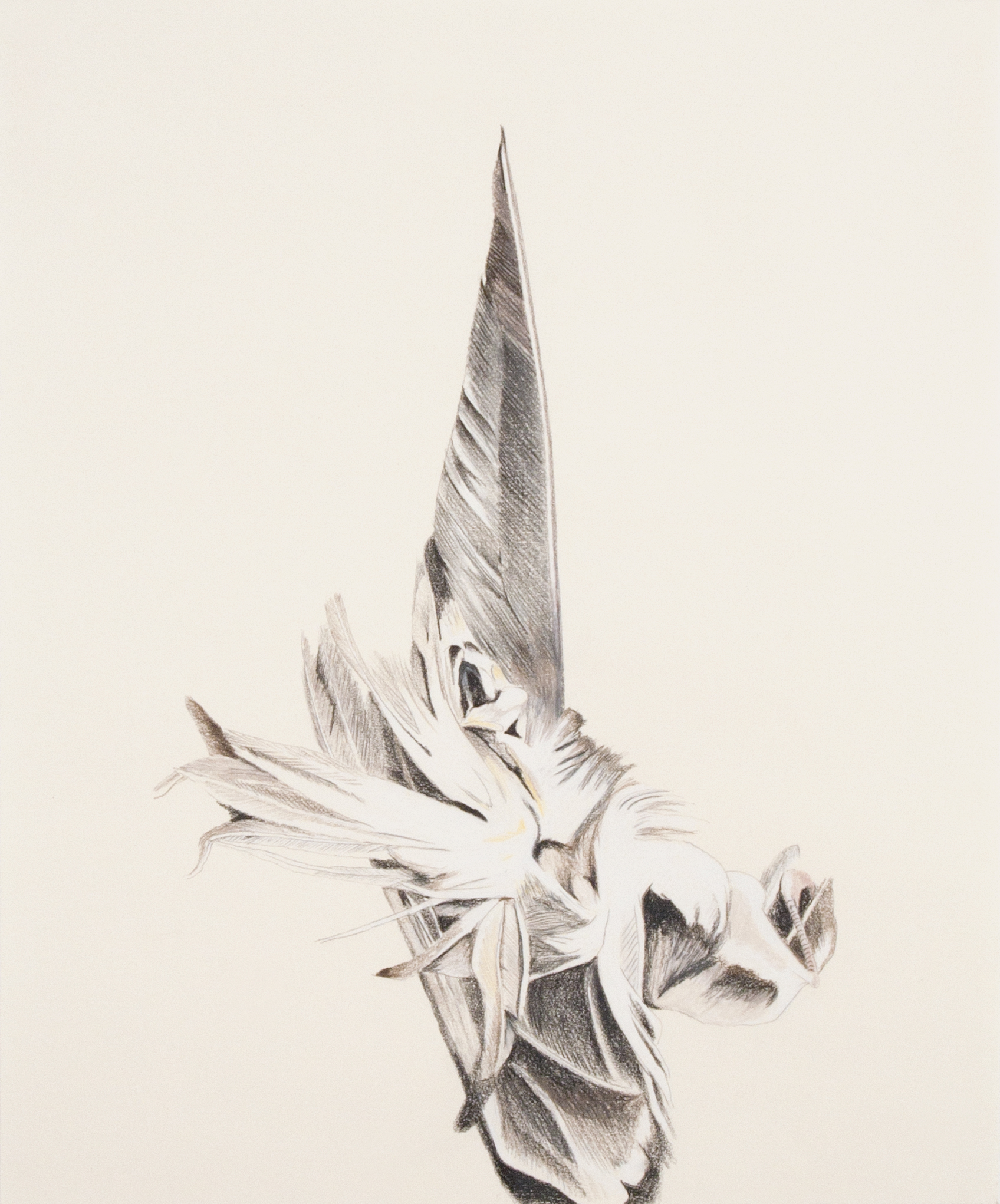 Gallery – Andre Yi