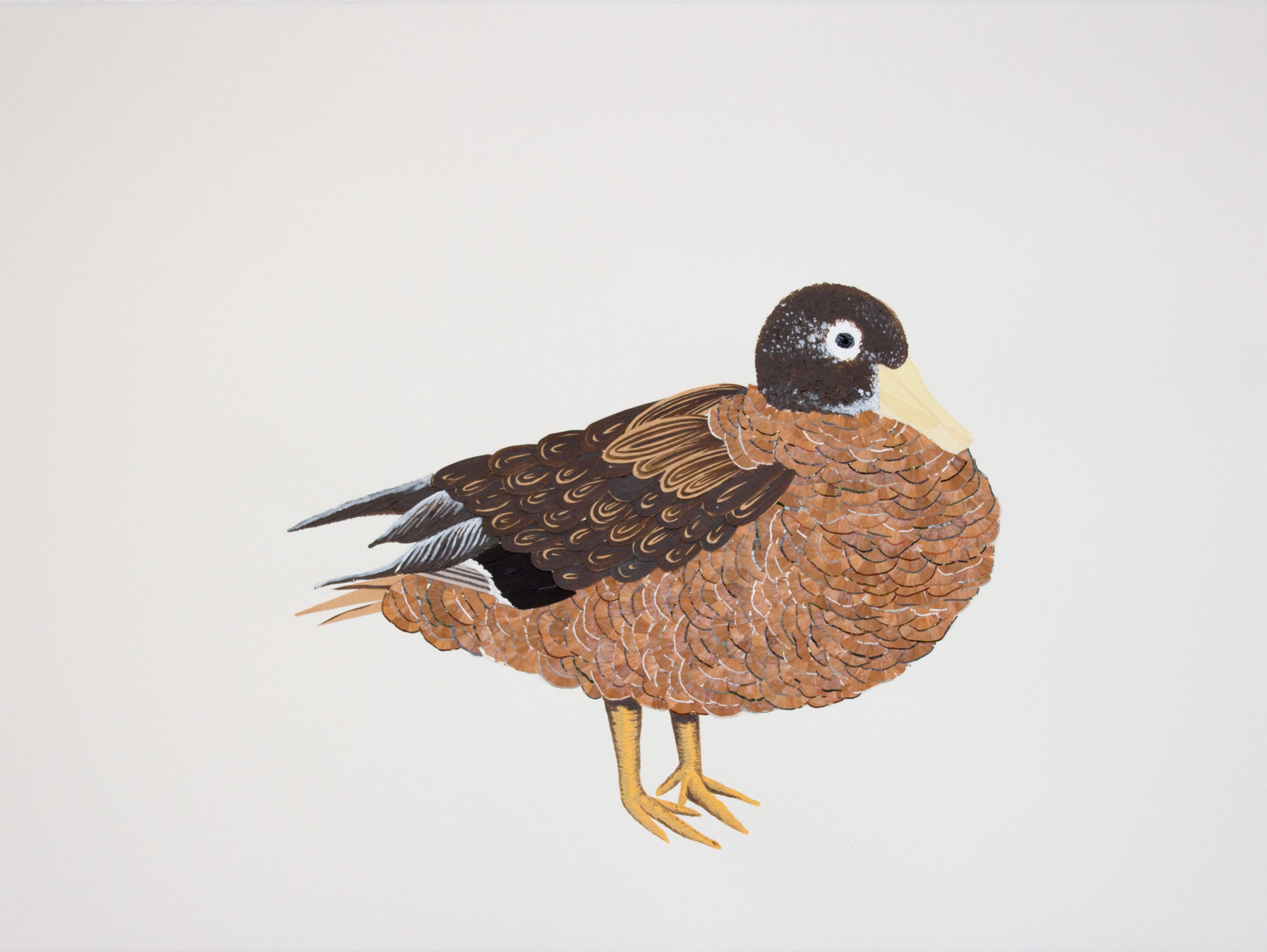 Gallery – Andre Yi