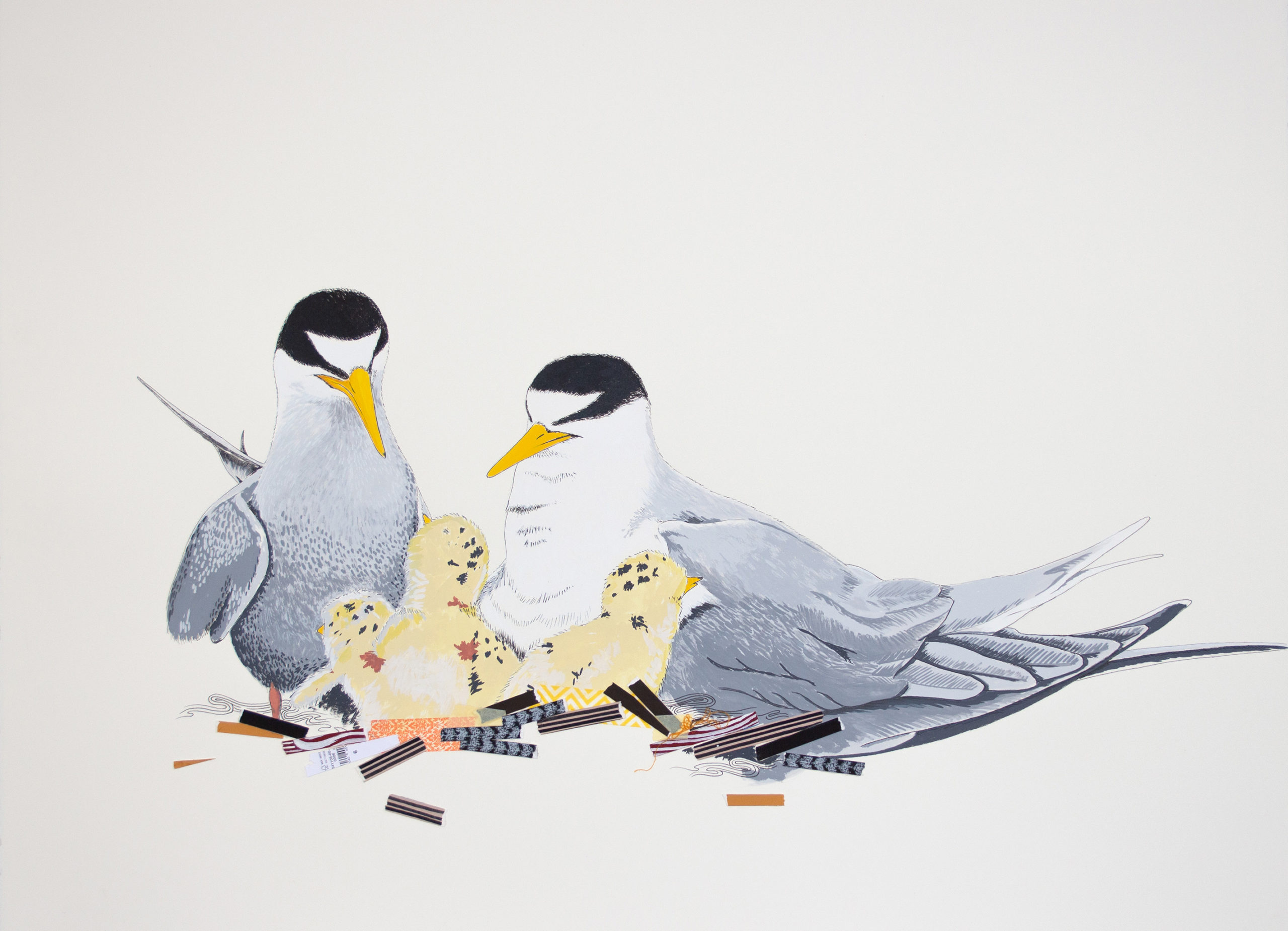 Gallery – Andre Yi