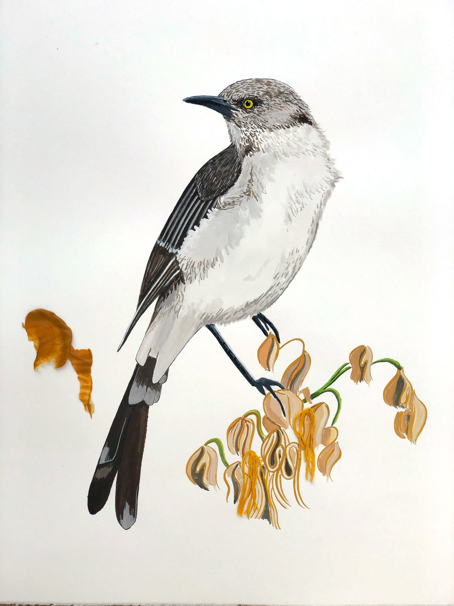 Gallery – Andre Yi